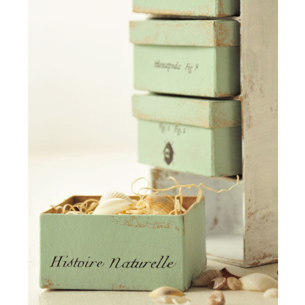 Natural History Project